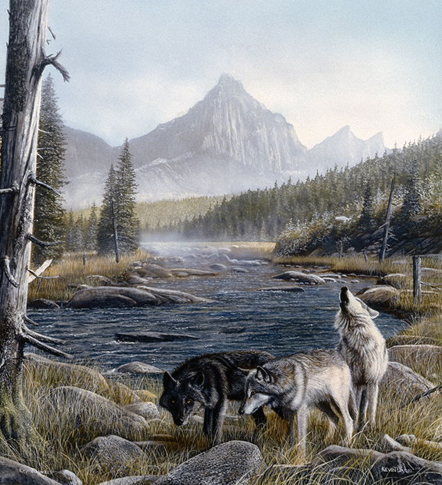 Kevin Daniel - Limited Editions