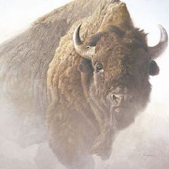 Art Country Canada - ROBERT BATEMAN Chief American Bisonc Offset ...