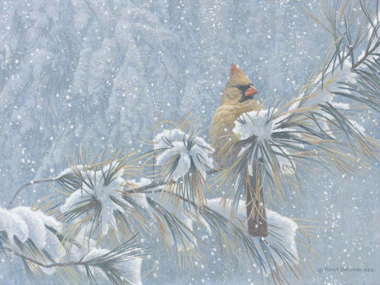 Art Country Canada - Robert Bateman