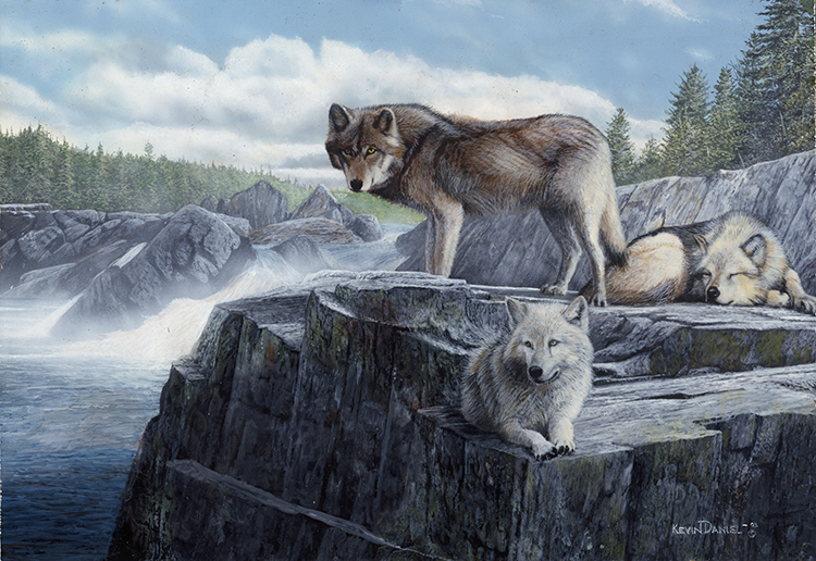 Kevin Daniel - Limited Editions