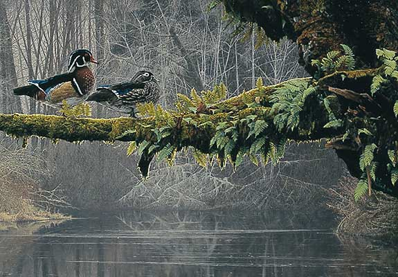 Art Country Canada - ROD FREDERICK The World's largest online internest ...