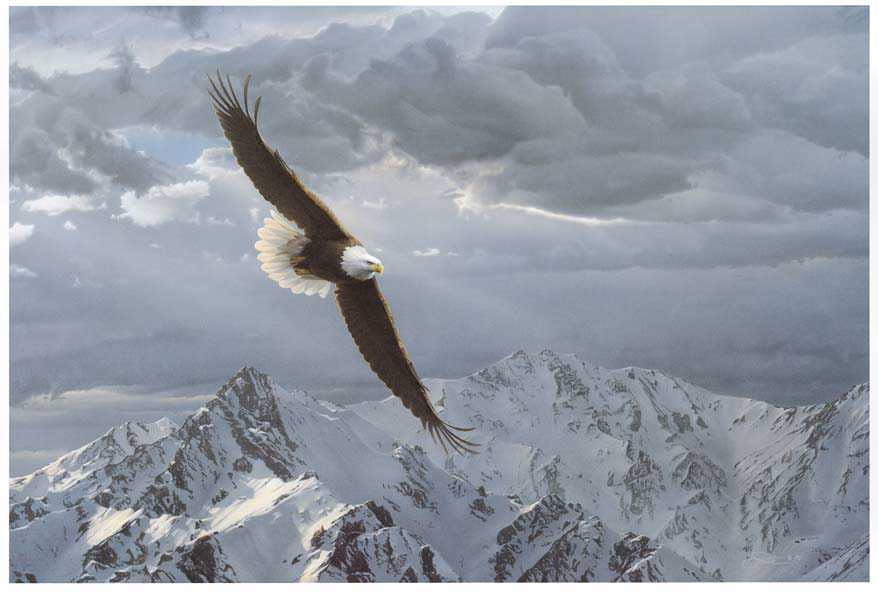 Wildlife art, Christ centered art, Daniel smith art